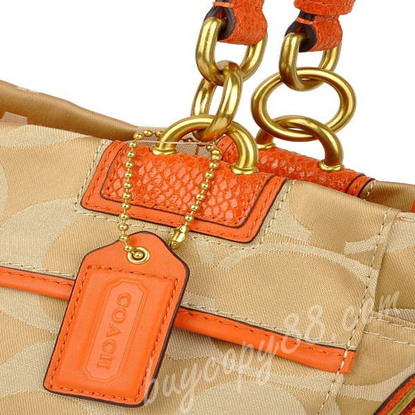 ID.9031|14528-orange |COACH-14528-orange-手提包